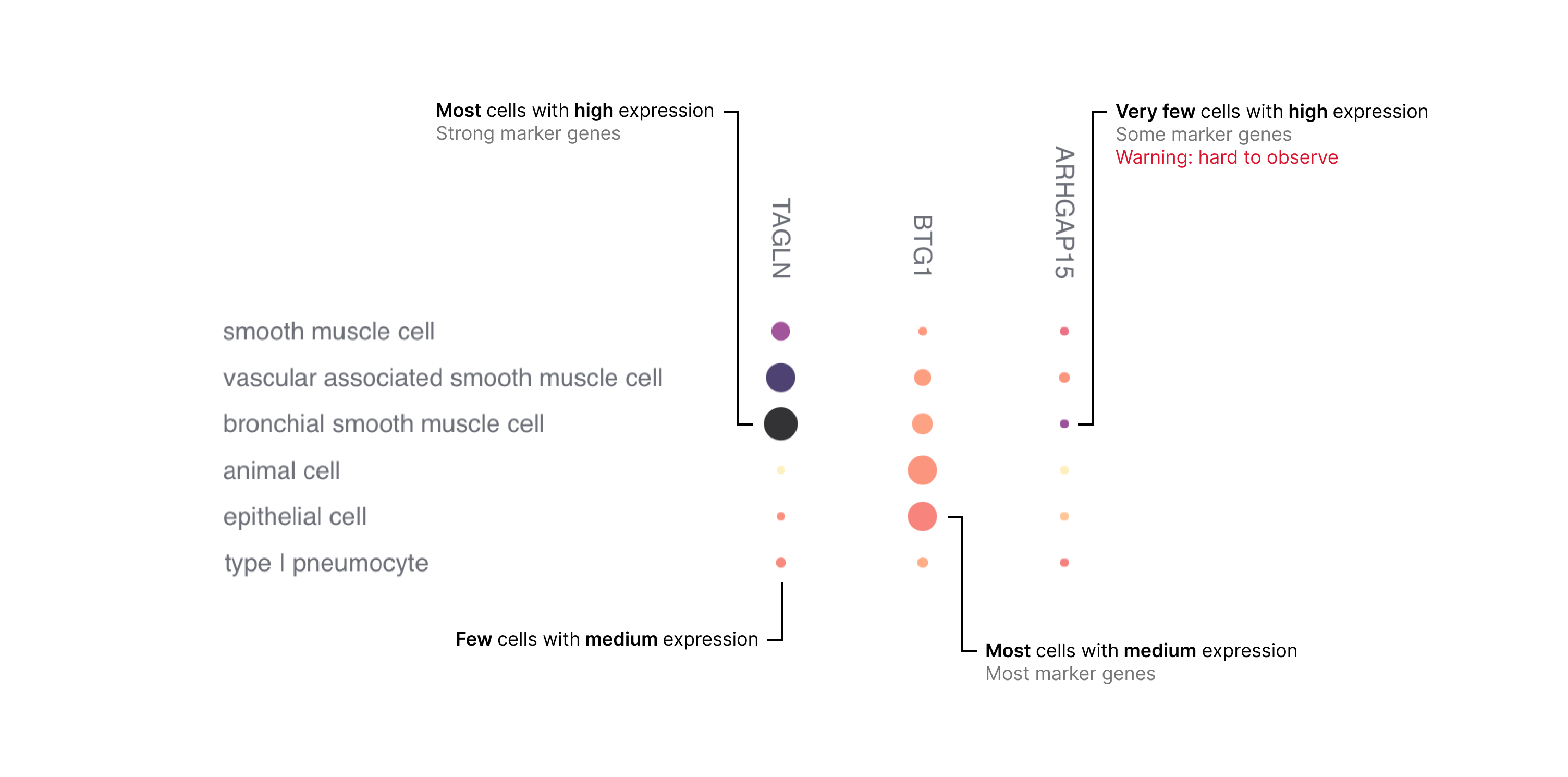 Query And Visualize Gene Expression Across Tissues — Cellxgene Deep Dive Course